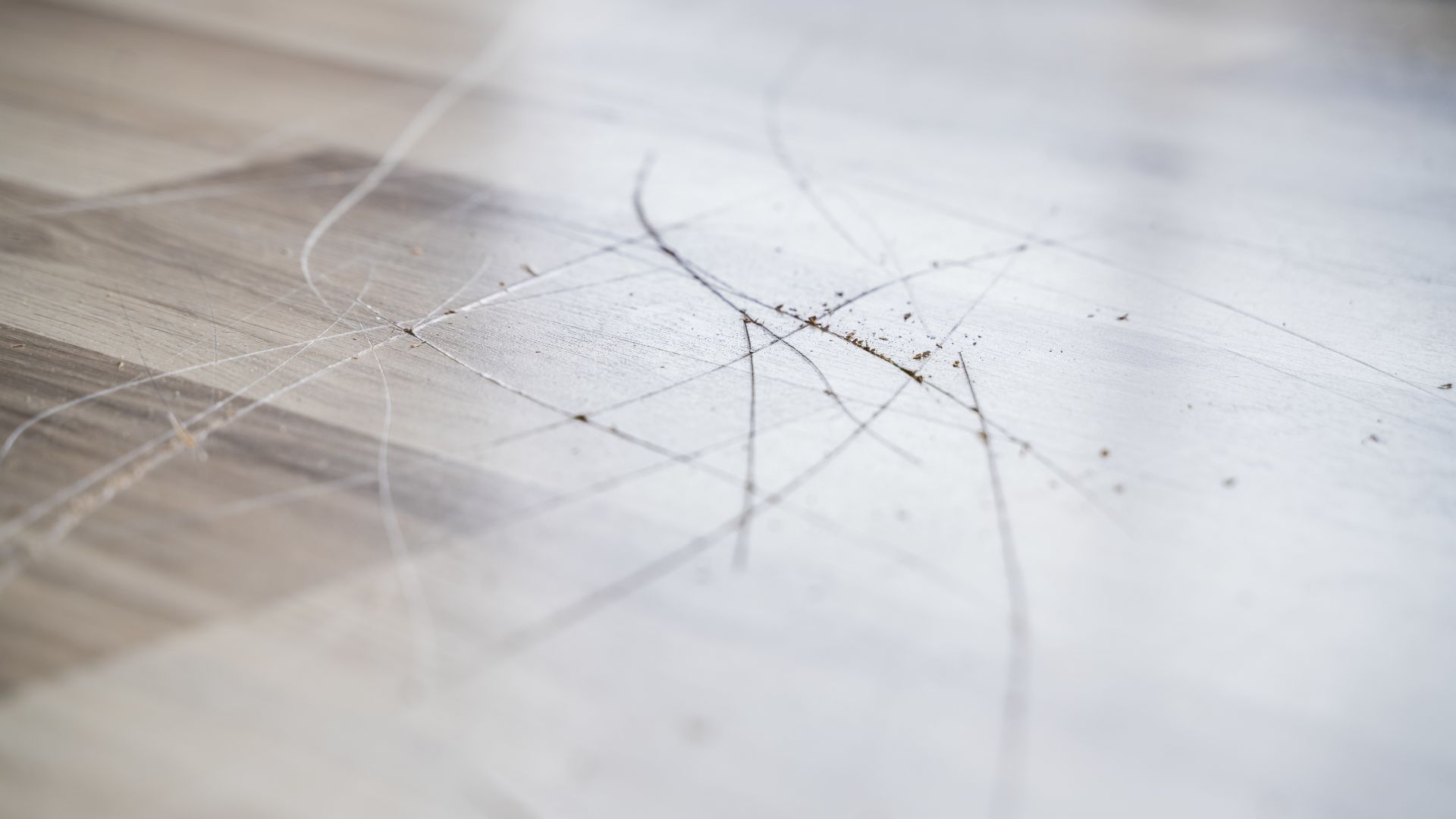 Hvorfor kan du ikke slibe et laminatgulv? Alle myter aflivet